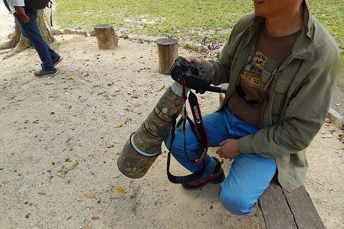 Private Tour: Birdwatching Cozumel Island - Who Should Consider This Tour?