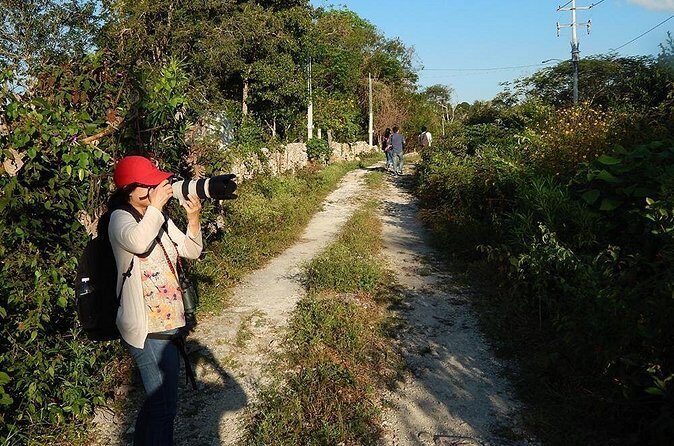 Private Tour: Birdwatching Cozumel Island - FAQ