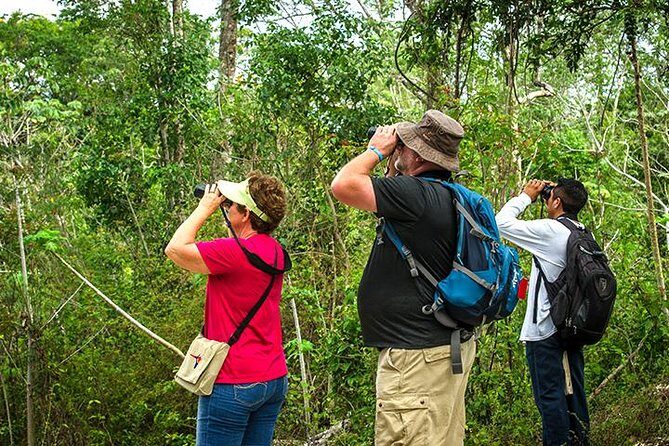 Private Tour: Birdwatching from Cancun - Who Will Enjoy This Tour?