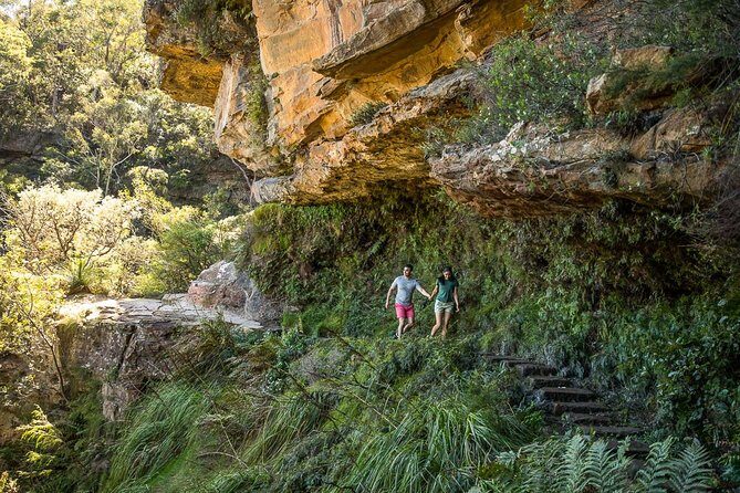 Private Tour: Blue Mountains Hiking & Nature - Who Will Love This Tour?