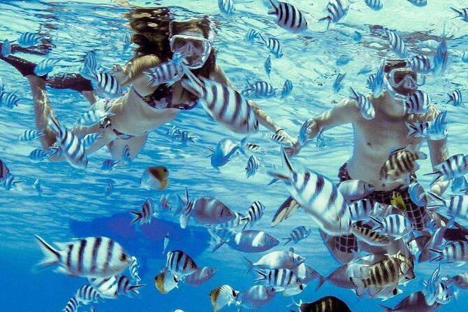 Private Tour: Bora Bora Lagoon Eco Snorkel Cruise - 3hrs or 6hrs - An In-Depth Look at the Bora Bora Lagoon Eco Snorkel Cruise