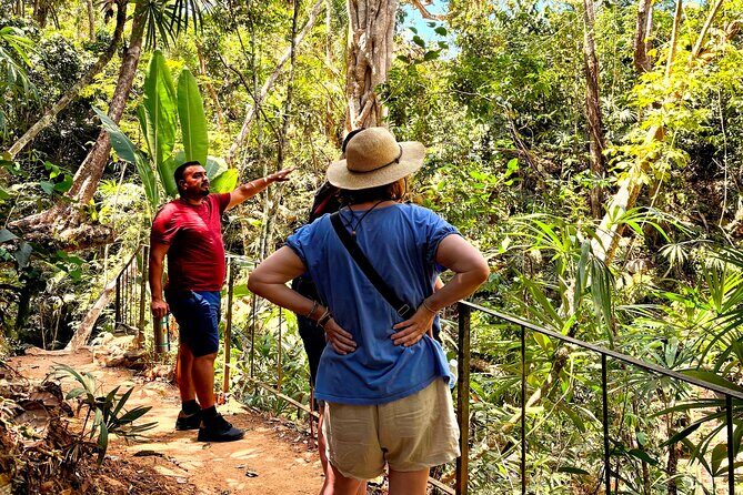 Private Tour: Botanical Garden, Petroglyphs & Mexican Food - The Sum Up