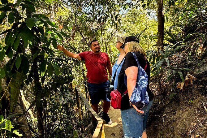 Private Tour: Botanical Garden, Petroglyphs & Mexican Food - FAQ