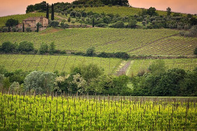 Private tour Brunello di Montalcino and Nobile di Montepulciano wine experience in Tuscany - An In-Depth Look at the Itinerary