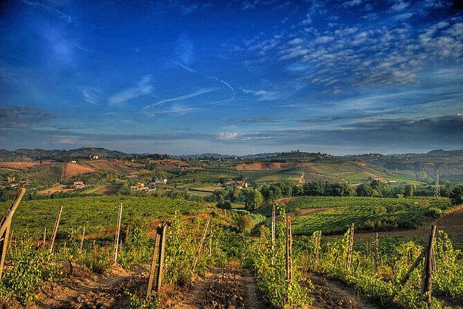 Private tour Brunello di Montalcino and Nobile di Montepulciano wine experience in Tuscany - Price and Value