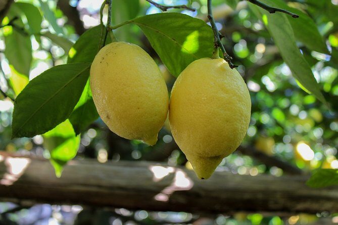 Private Tour by Car from Sorrento to the Amalfi Coast - The Sum Up