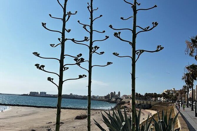 Private tour Cadiz: the city of light - Key Points