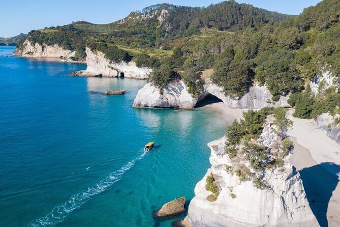 Private Tour: Cathedral Cove, Zipline and Glass Bottom Boat - Key Points