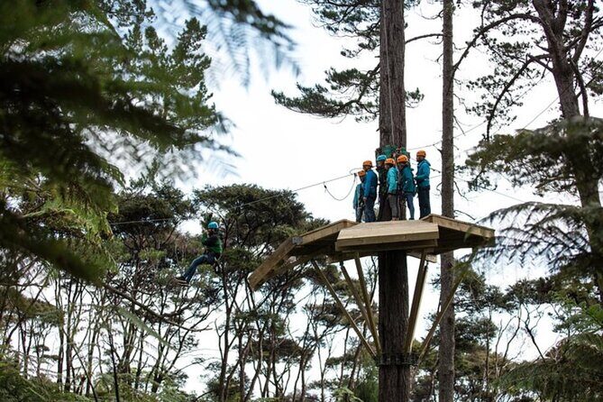 Private Tour: Cathedral Cove, Zipline and Glass Bottom Boat - FAQ