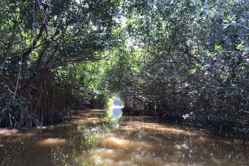 Private Tour Celestun Flamingo Watching and Beach - FAQ