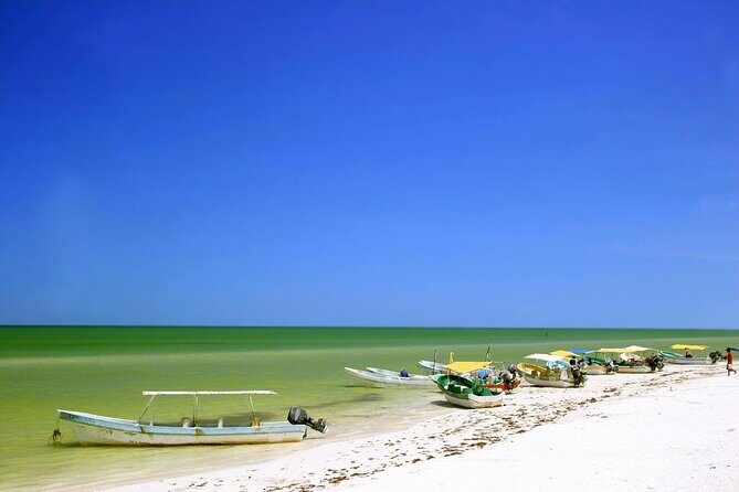 Private Tour Celestun Flamingo Watching and Beach - Exploring the Private Celestun Flamingo Watching and Beach Tour