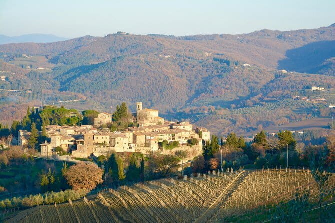 Private Tour: Chianti Region Tour by Minivan - Exploring the Chianti Region with a Private Minivan Tour