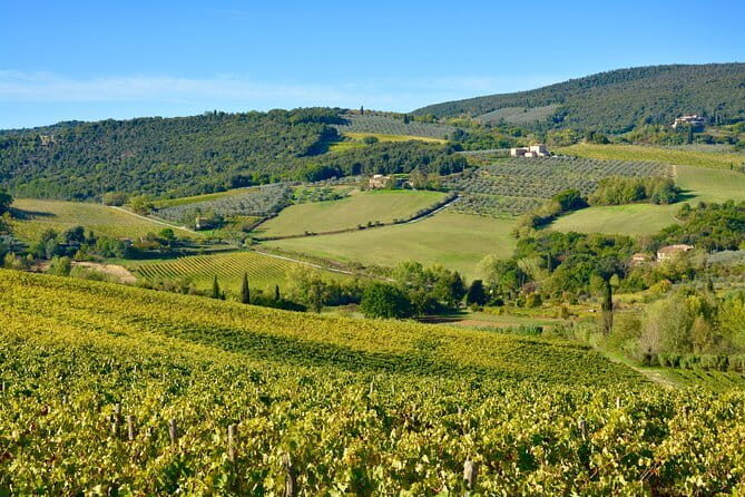 Private Tour: Chianti Region Tour by Minivan - Key Points