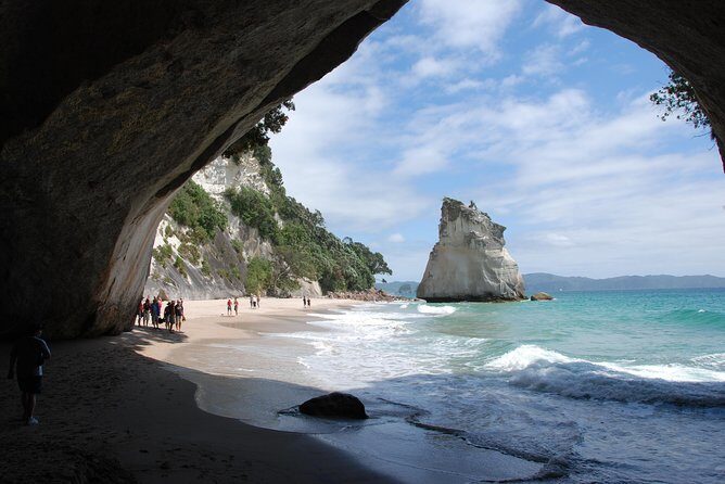 Private Tour - Coromandel Beach, Caves & Forest - Frequently Asked Questions