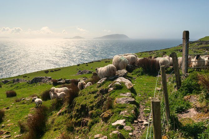 Private Tour: Dingle Peninsula from Kerry. Waterville, Tralee etc - Cross at Slea Head: Spectacular Atlantic Views