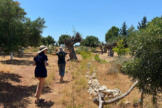 Private Tour: Discover the Secret World of Olives in Afantou - Final Thoughts: Is This Tour Worth It?