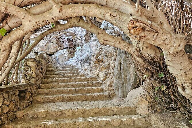 Private Tour Elafonisi Beach with Honey Olive Oil & Wine Tastings - FAQ