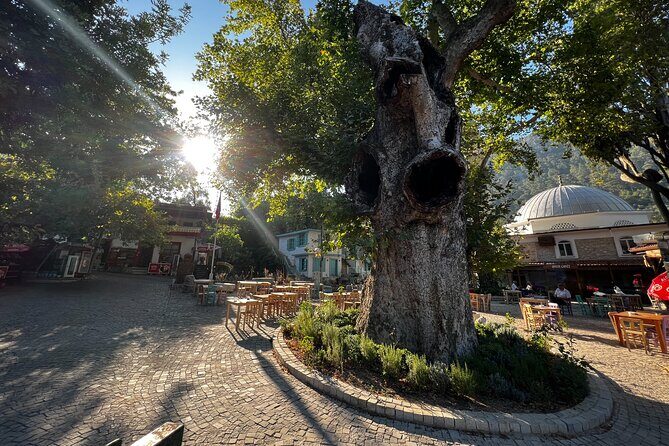 PRIVATE TOUR: Explore Hidden Gems of Marmaris Peninsula - The Transport and Logistics