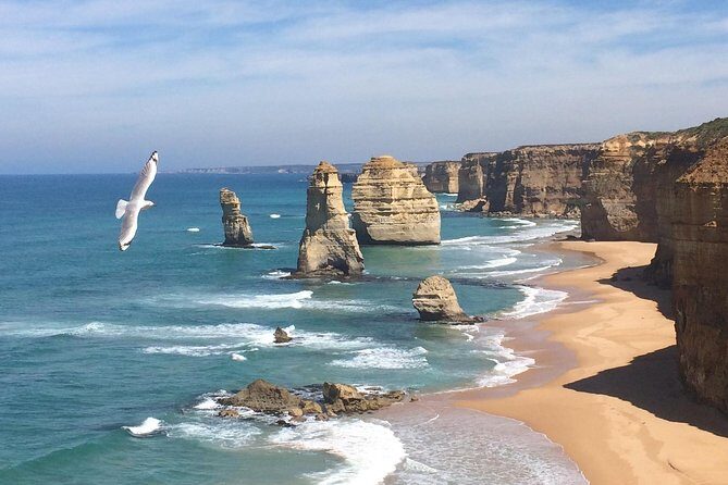 [PRIVATE TOUR] Express Great Ocean Road | Day Trip - A Practical Overview of the Tour