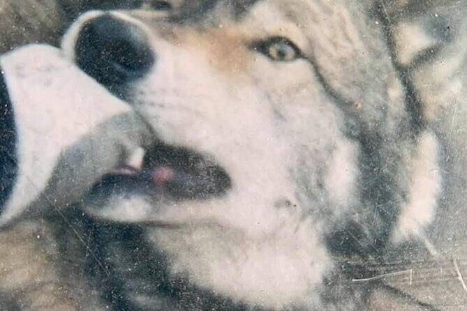 Private Tour: Famous MOVIES + MOUNTAINS Photo Safari Drive - 4hrs - The Sum Up