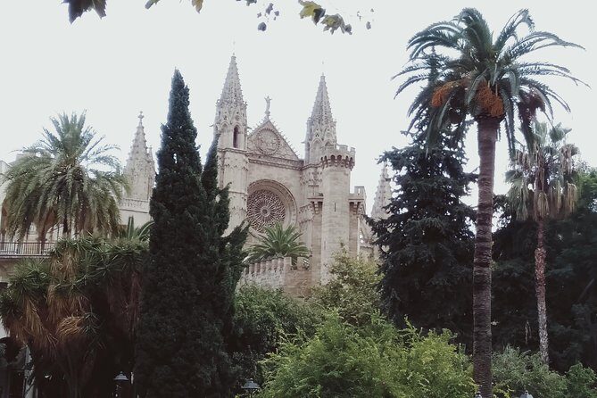 Private tour for my family from a cruise - Transportation and Timing