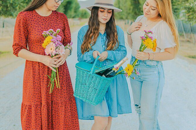 Private tour Freixenet Winery & Peña de Bernal - A Few Drawbacks to Consider