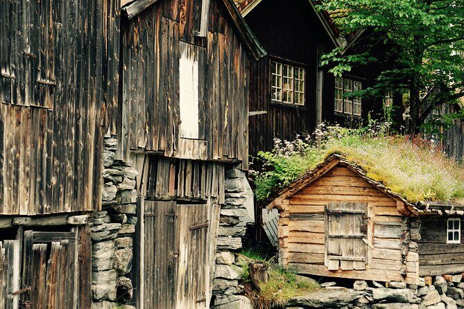 Private tour from Ålesund to Geiranger up to 15 people - Key Points