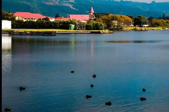 Private Tour from Auckland Hobbiton Rotorua and Wai-O-Tapu - Frequently Asked Questions