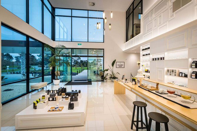 Private tour from Auckland - Waitomo Glowworm Caves, Zealong Tea & Kiwi Bird - FAQ