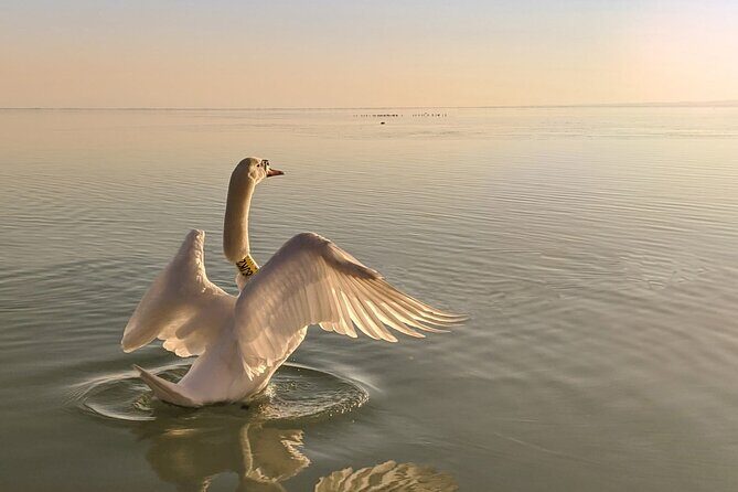 Private tour from Budapest to a top hidden treasure region of Europe: Lake Balaton - Who Is This Tour Best For?