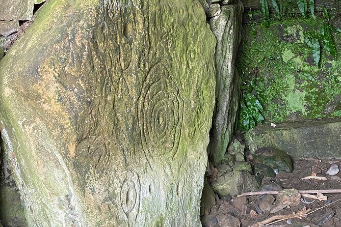 Private Tour from Dublin: Hill of Tara Trim Castle, Celtic sites - Practical Details and Overall Value