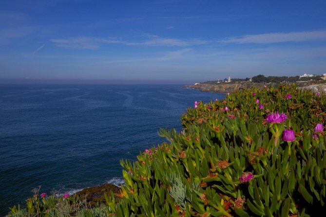Private Tour From Lisbon: Sintra Mystic Trail in Five Hours - Who Should Consider This Tour?