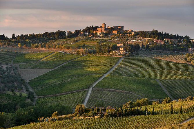 Private tour from Livorno port to Chianti Wine Region - Exploring Tuscany’s Heart: Private Tour from Livorno Port to Chianti Wine Region