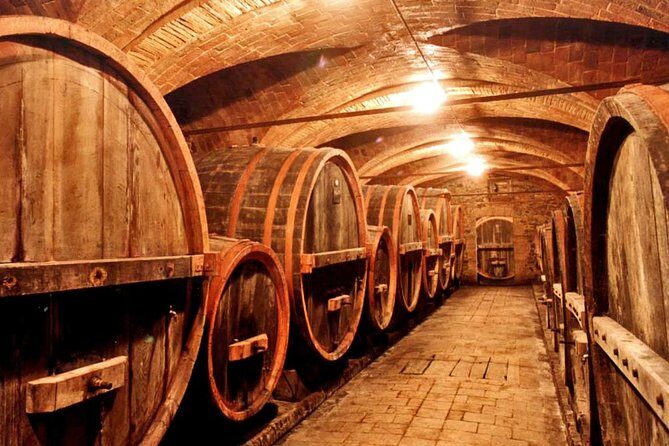 Private tour from Livorno port to Chianti Wine Region - Authentic Experiences & Tips from Reviewers
