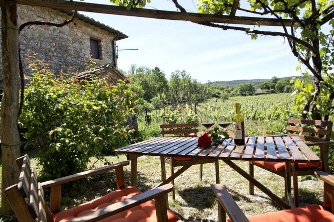 Private tour from Livorno port to Chianti Wine Region - The Sum Up: Is This Tour Right for You?