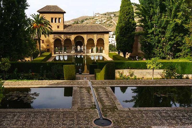 Private tour from Malaga to the Alhambra Palace and Granada - Analyzing the Value