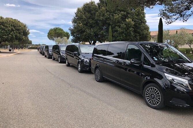 Private Tour from Marseille Cruise Port or Hotel with Luxury Van - FAQ