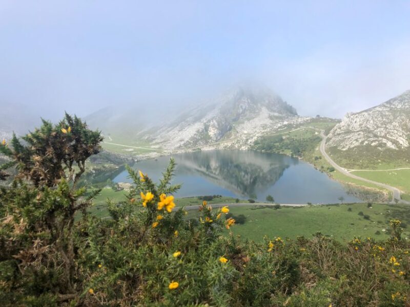 Private Tour from Oviedo to Covadonga and Europe Peaks lakes - Key Points