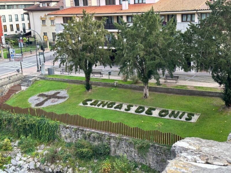 Private Tour from Oviedo to Covadonga and Europe Peaks lakes - Who Would Love This Tour?