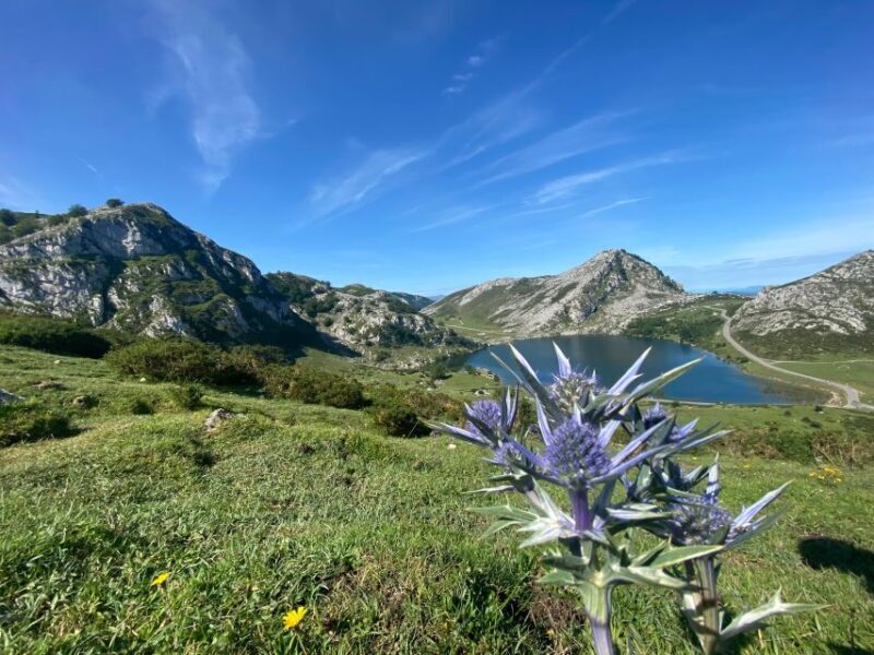 Private Tour from Oviedo to Covadonga and Europe Peaks lakes - Frequently Asked Questions