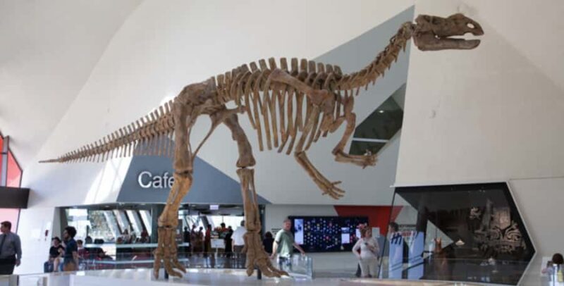 Private Tour: From Sydney to Canberra Full Day Tour - The Scenic Route from Sydney to Canberra