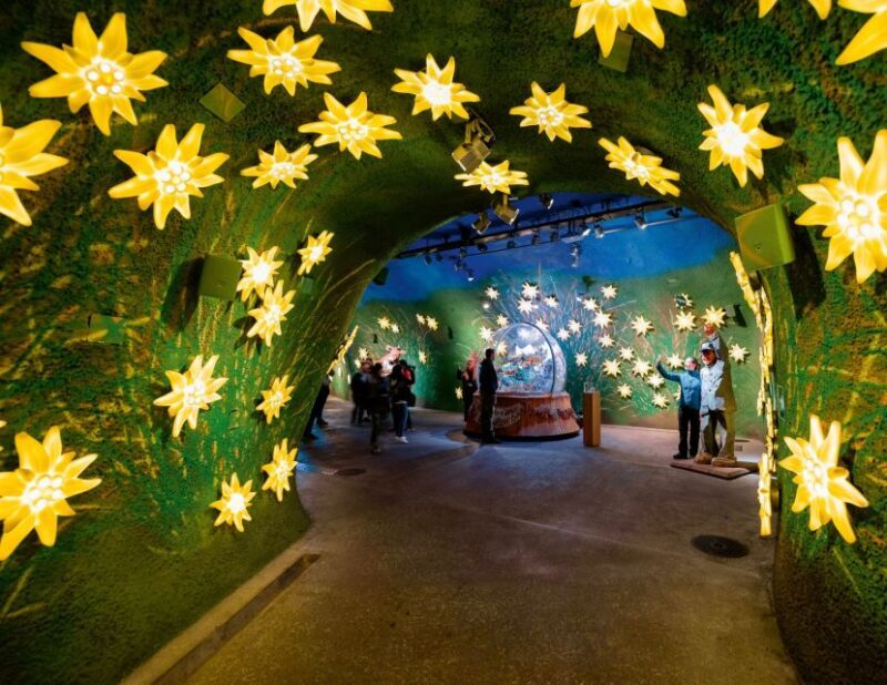 Private Tour from Zurich to Jungfraujoch - The Top of Europe - What Travelers Say