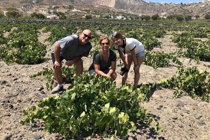 Private Tour: Great Wines and Famous Towns of Santorini - FAQs