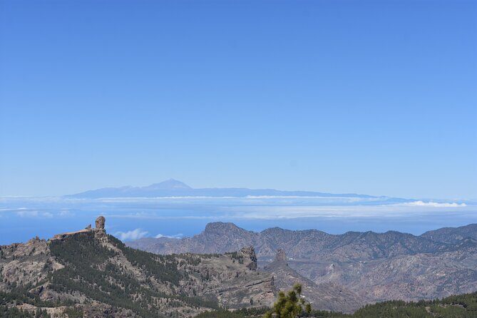 Private Tour Guide in Gran Canaria - Key Points