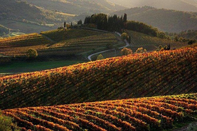 Private Tour: Guided Hike in Tuscany with Transport from Siena - Key Points
