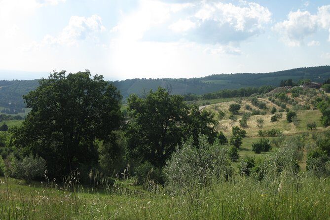 Private Tour: Guided Hike in Tuscany with Transport from Siena - Insights from Traveler Reviews