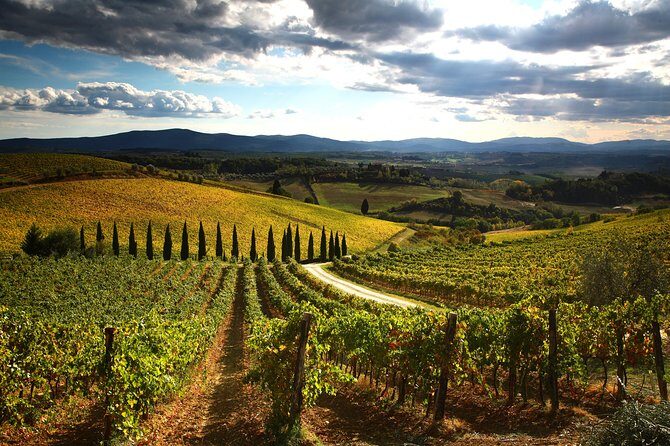 Private Tour: Guided Hike in Tuscany with Transport from Siena - The Sum Up
