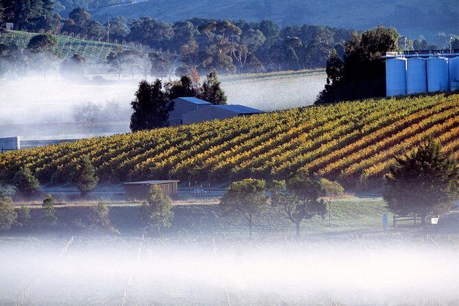 [Private Tour] Healesville Sanctuary Wildlife & Puffing Billy Steam Train - The Sum Up