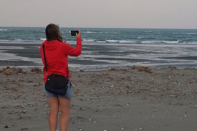 Private Tour Highlights of Christchurch NZ - Optional Extra Stops and Customization