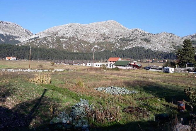 Private tour: Homemade food and wine tasting at my family home - Key Points